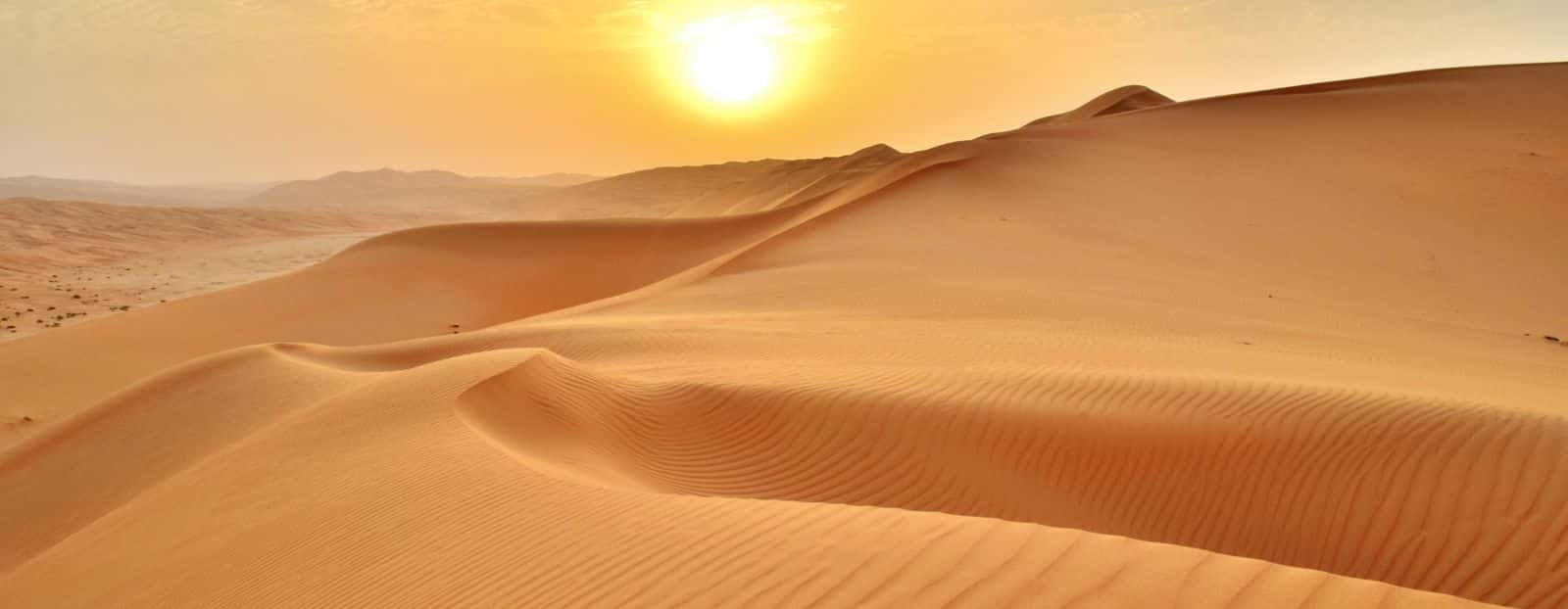 Morning Desert Safari in Dubai | Sunrise, Camel Ride and Sandboarding
